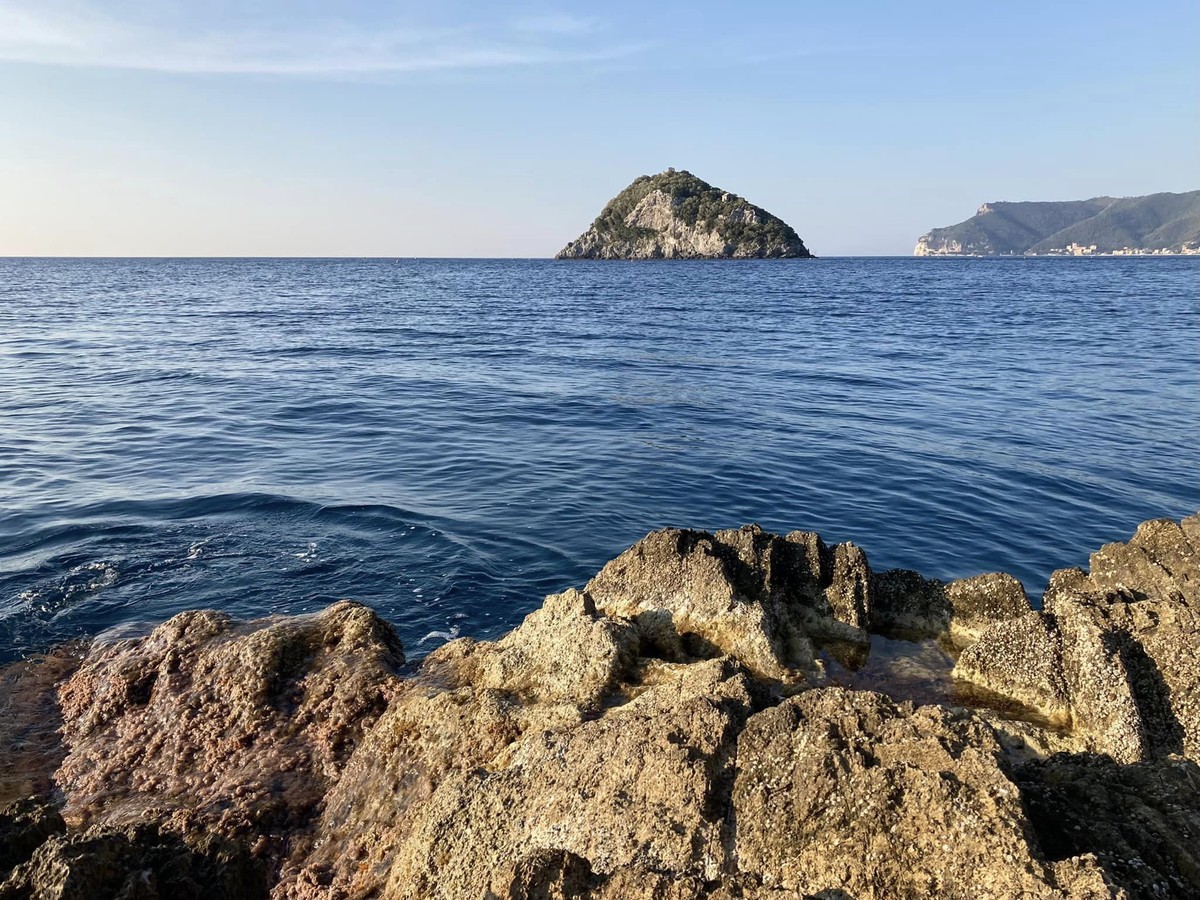 Rigas, l'ISPRA si mette di traverso - Lanuovasavona.it